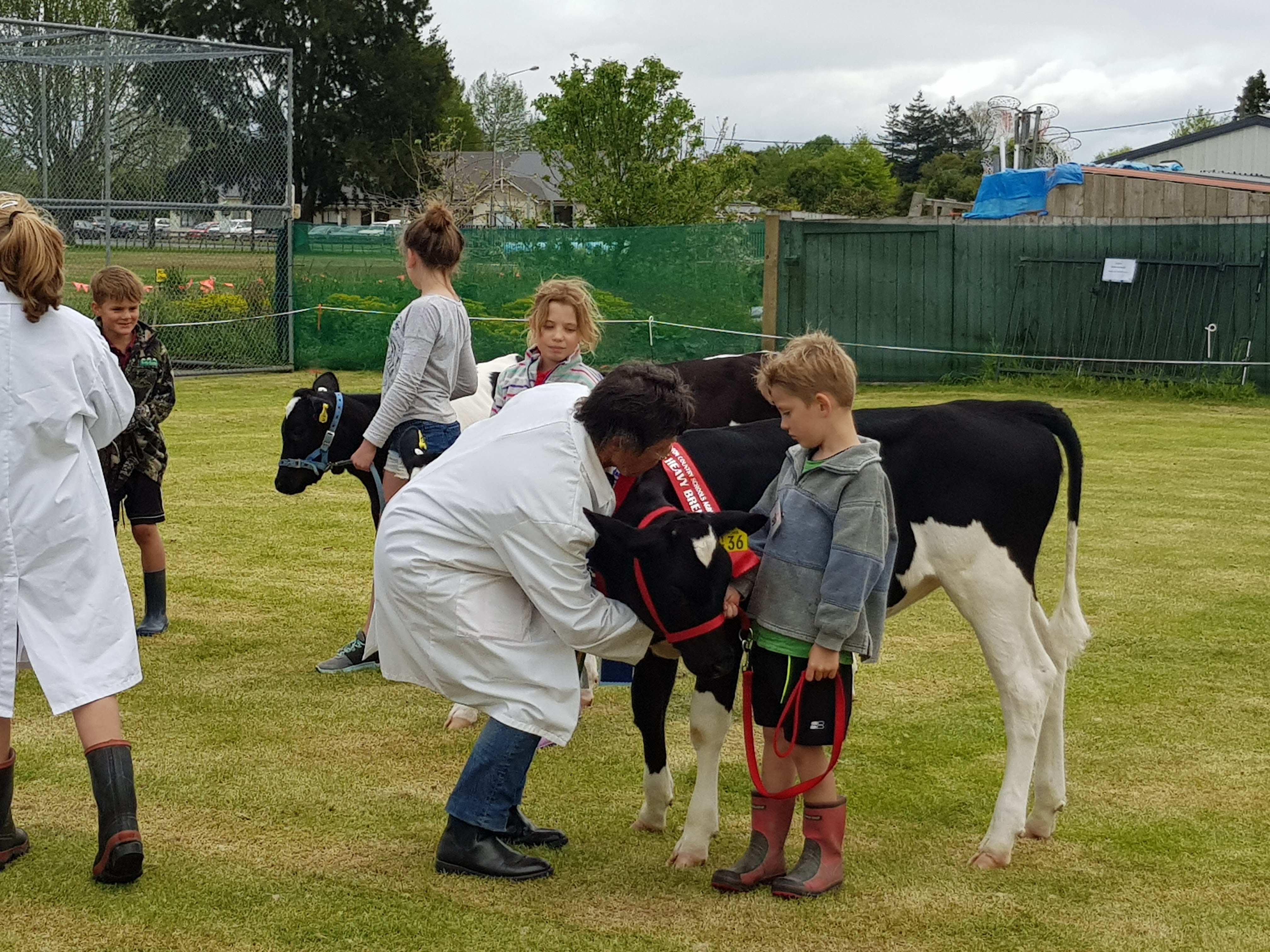 Our Photos – Matangi School