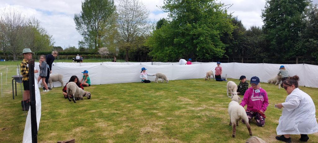 Our Photos – Matangi School