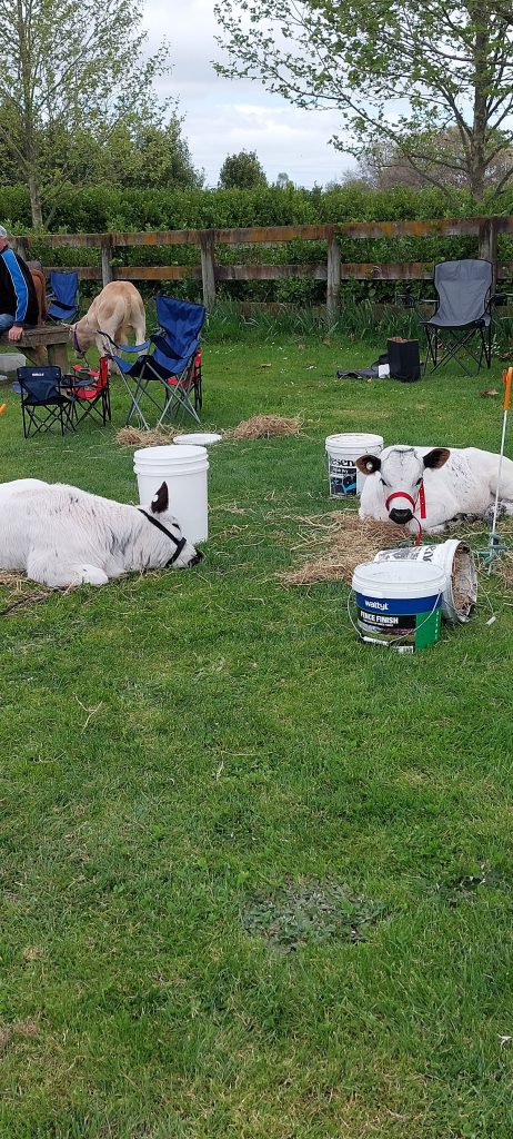 Our Photos – Matangi School