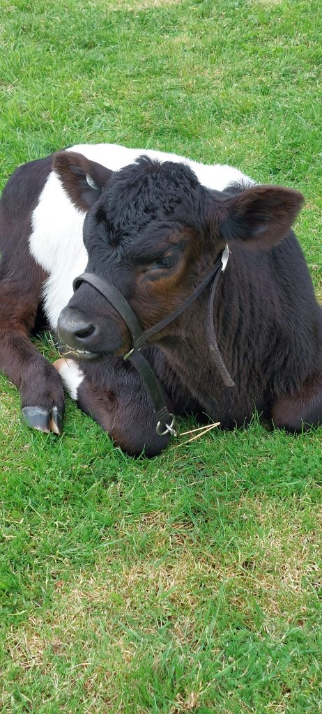 Our Photos – Matangi School