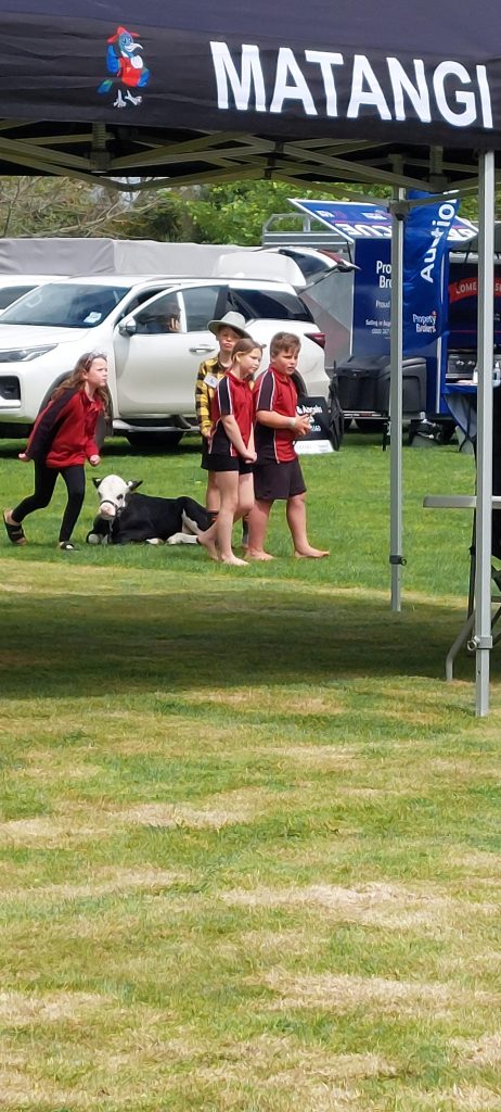 Our Photos – Matangi School