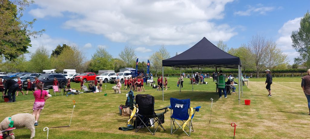 Our Photos – Matangi School